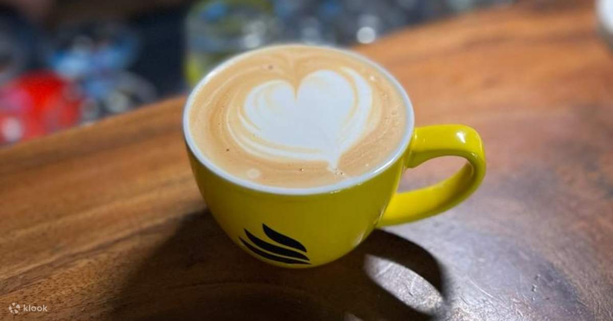 싱가포르 라떼 아트 원데이 클래스 Yellow Cup Coffee 클룩 Klook 한국